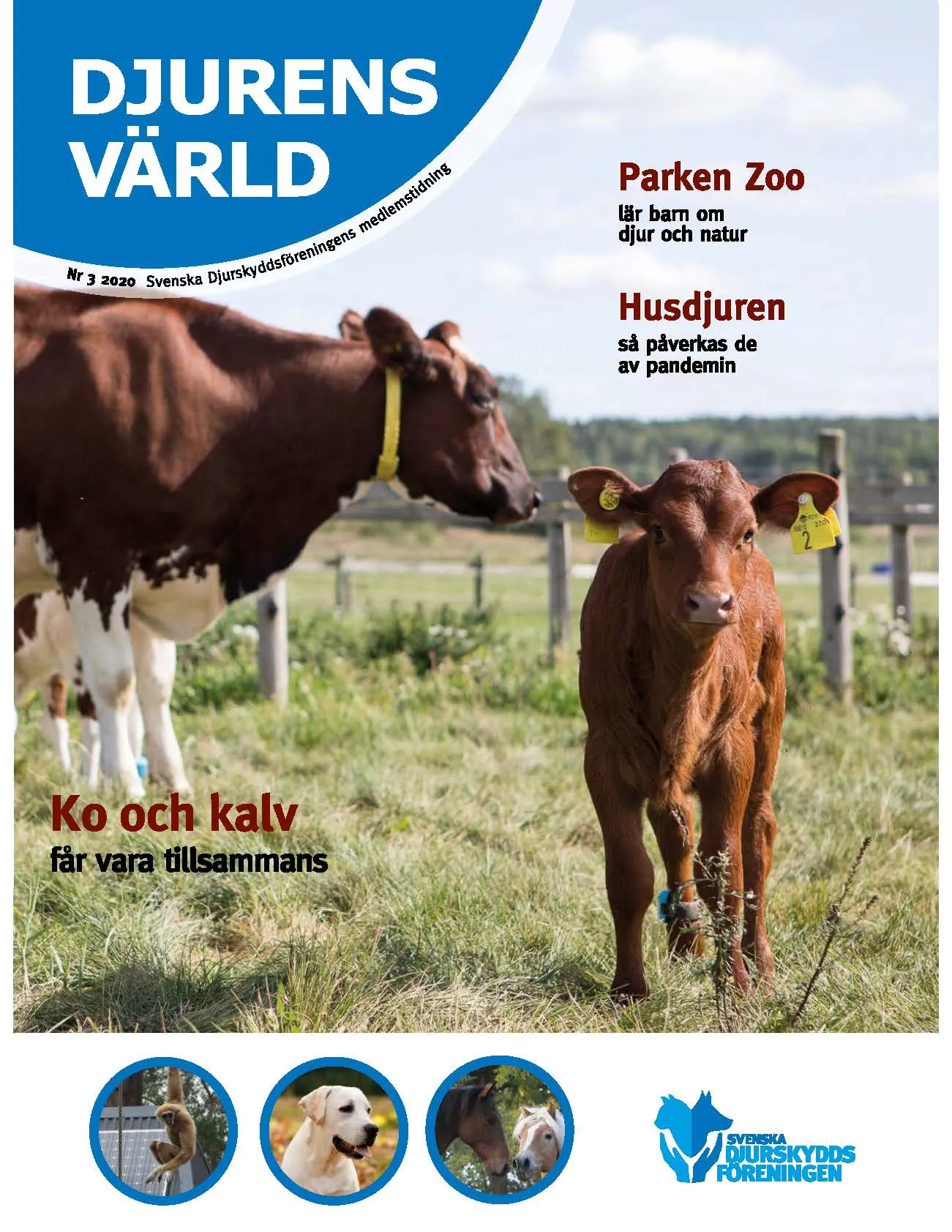 Djurens Värld nr 3 2020 - Djurskydd.org
