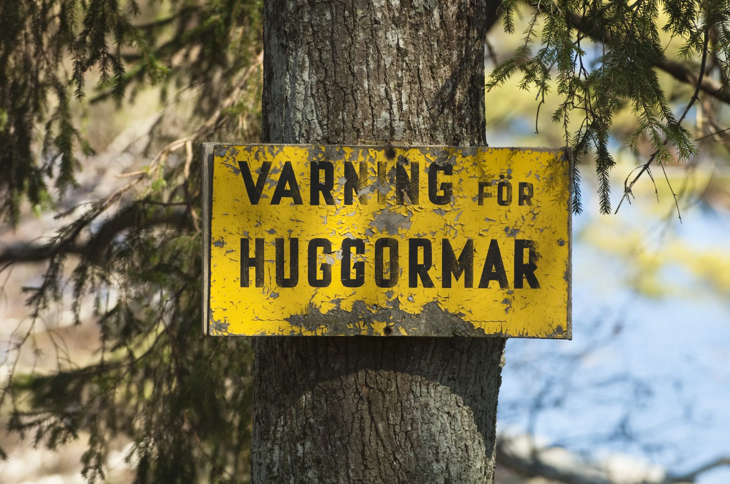 Huggormarna har vaknat - Djurskydd.org